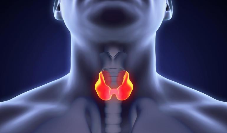 Thyroid Health